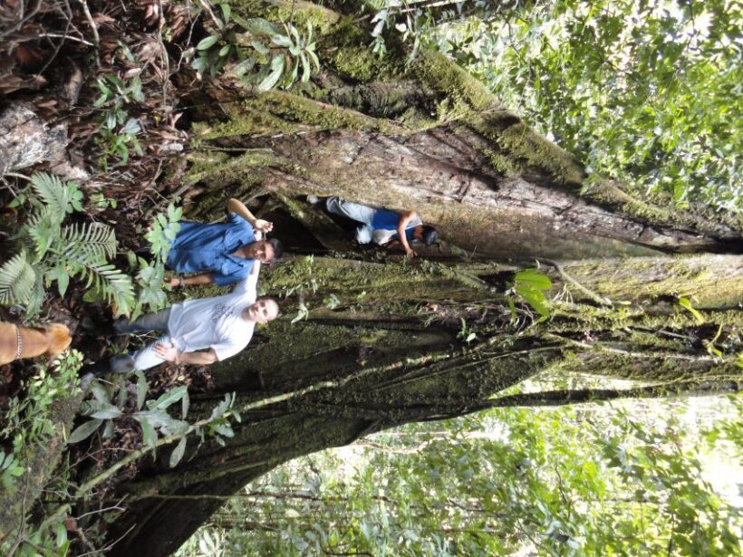 3 Day Jungle Tour Expedition Amazonia Ecuador All included - Final Thoughts: Is This Tour a Good Fit?