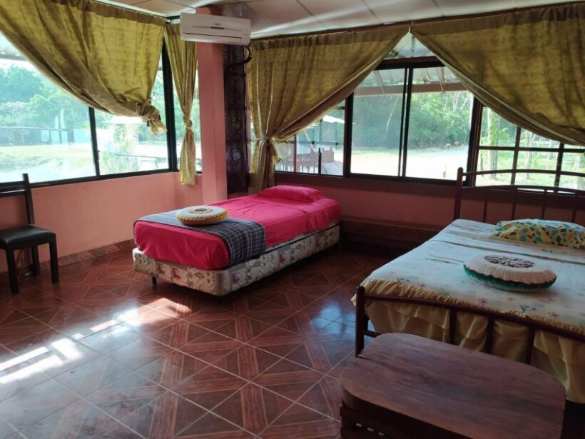 3 Day Jungle Tour Expedition Amazonia Ecuador All included - FAQ About This Tour