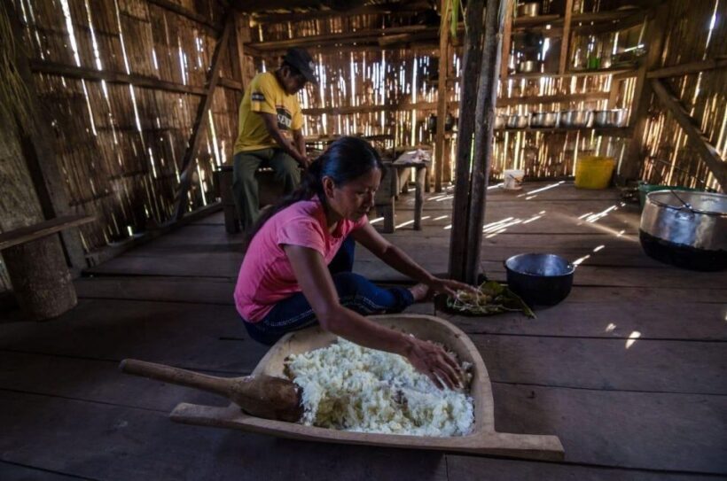 3 Day Jungle Tour Expedition Amazonia Ecuador All included - Final Verdict