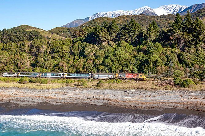 3 Day Kaikoura Sealife and Coach Tour from Christchurch - Key Points
