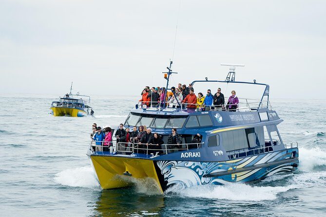 3 Day Kaikoura Sealife and Coach Tour from Christchurch - A Detailed Look at the 3-Day Kaikoura Marine Adventure