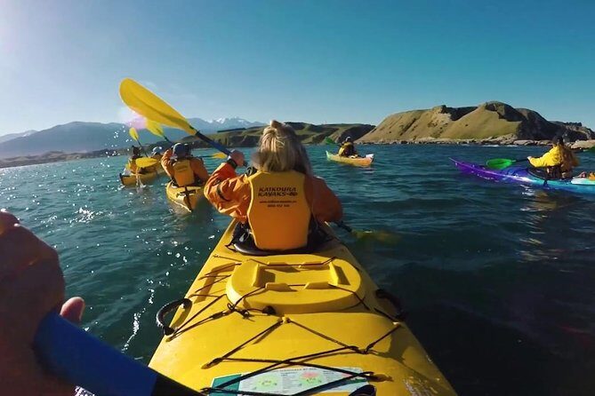 3 Day Kaikoura Sealife and Coach Tour from Christchurch - Who Should Consider This Tour?