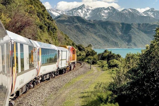 3 Day Kaikoura Sealife and Coach Tour from Christchurch - Final Thoughts