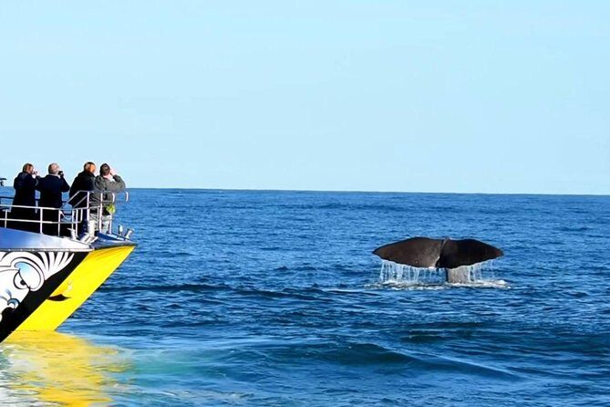 3 Day Kaikoura Sealife and Coach Tour from Christchurch - FAQ