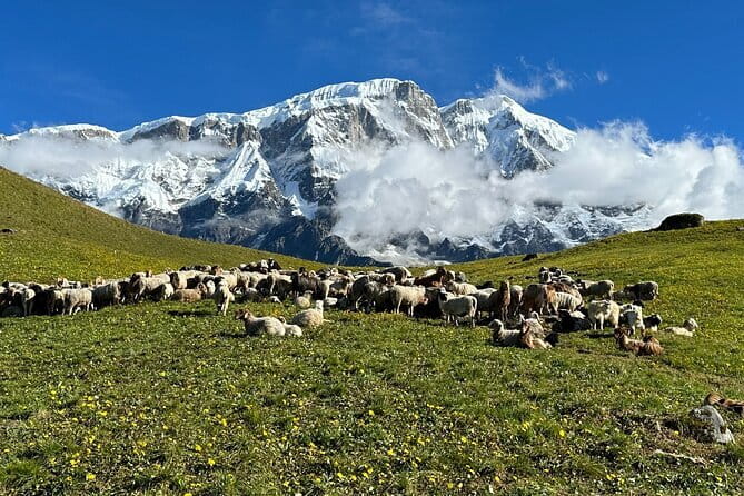 3 Day Kapuche Glacier Lake Trek with Siklesh from Pokhara - The Sum Up: Who Will Love This Trek?