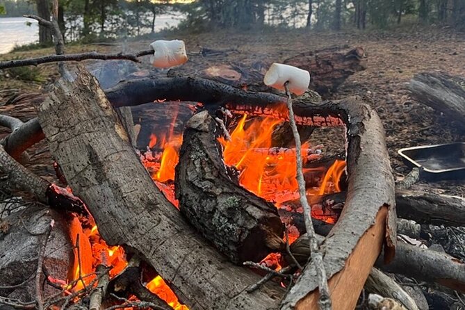 3-Day Kayak Tour in the Stockholm Archipelago - The Sum Up