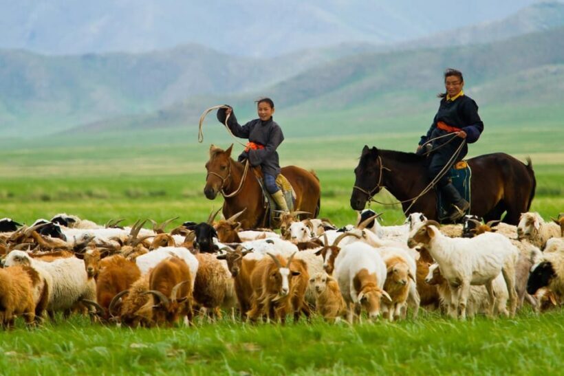 3 day Khar khorum budget tour Central Mongolia91 - Final Thoughts: Is It Worth It?