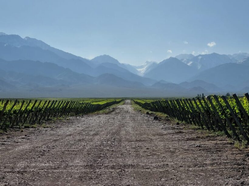 3-Day Mendoza Enchanted Vine Retreat With Optional Airfare - Final Thoughts