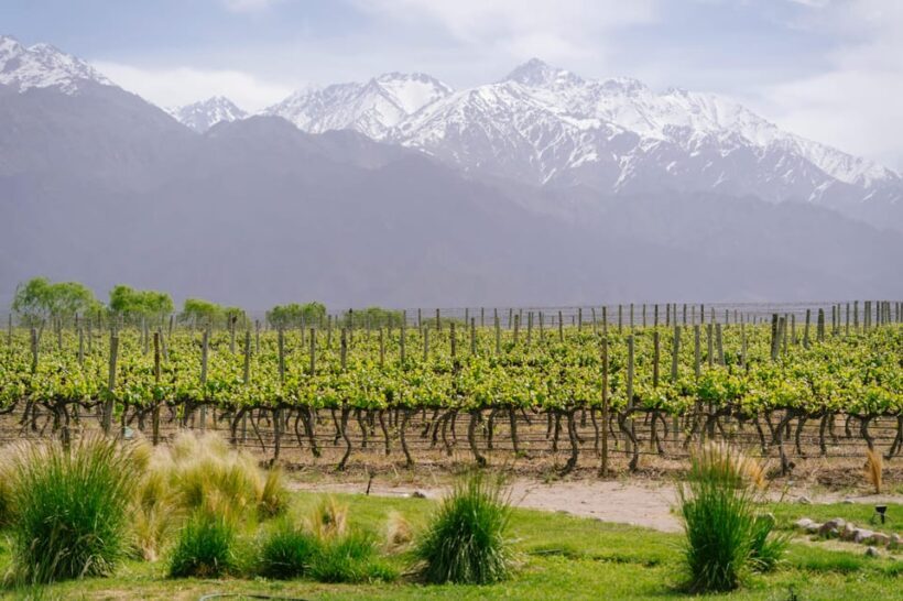 3-Day Mendoza Enchanted Vine Retreat With Optional Airfare - FAQ