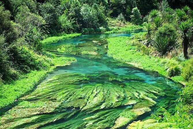 3 Day Minivan Tour From Hamilton to Taupo - FAQs