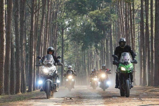 3 Day Motorcycle Tour (Sukhothai Loop) from Chiang Mai, Thailand - What Reviewers Say