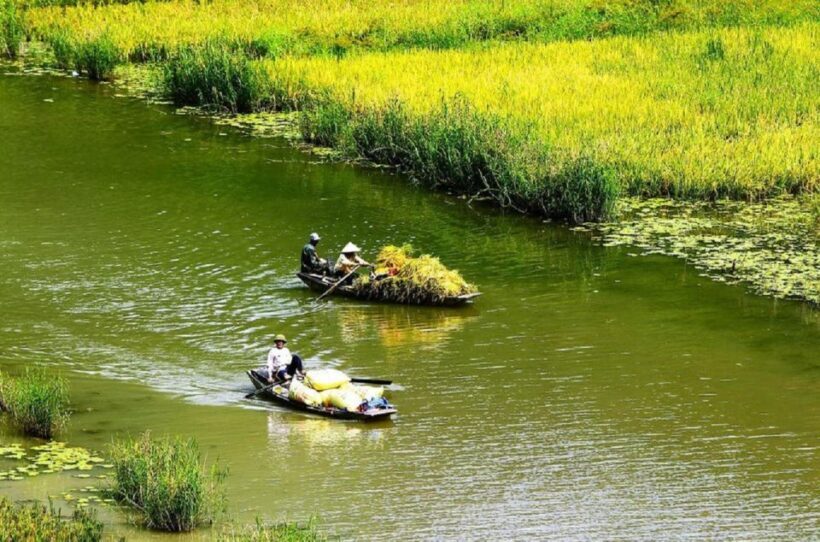 3-Day Ninh Binh Bungalow & Ha Long Bay 5 Star Cruise - FAQ