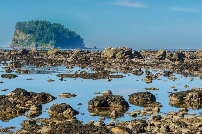 3-Day Olympic Backpacking - The Ozette Coast - What Travelers Say (Based on Reviews)