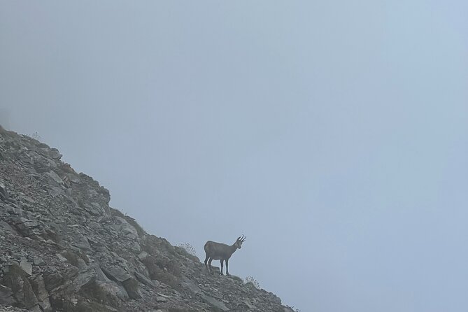 3-Day Olympus Hiking Adventure - Introduction: Why Consider the Olympus Hiking Tour?