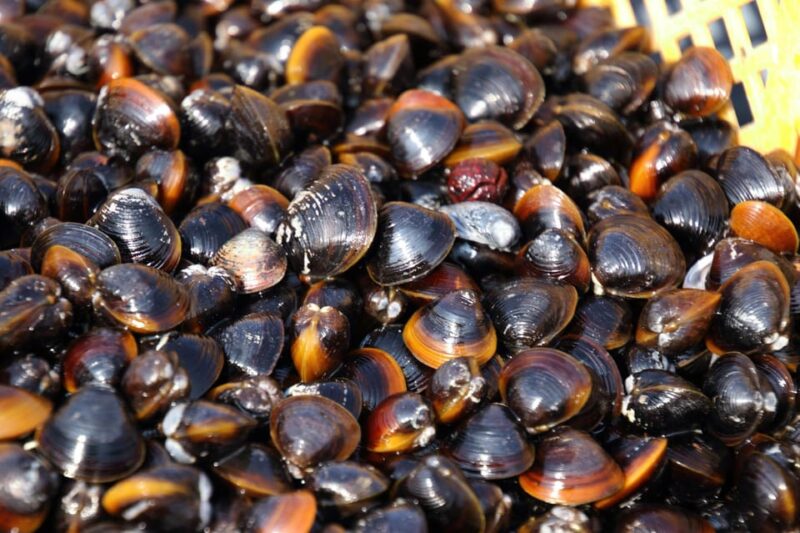 3-Day ONE WAY Bus Tour to Hiroshima via SANIN From Fukuoka - Accommodation Details