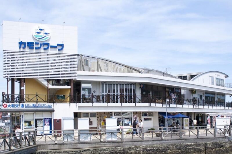 3 Day ONE-WAY BUS Tours to Fukuoka From Osaka via SANYO - Additional Information and Requirements