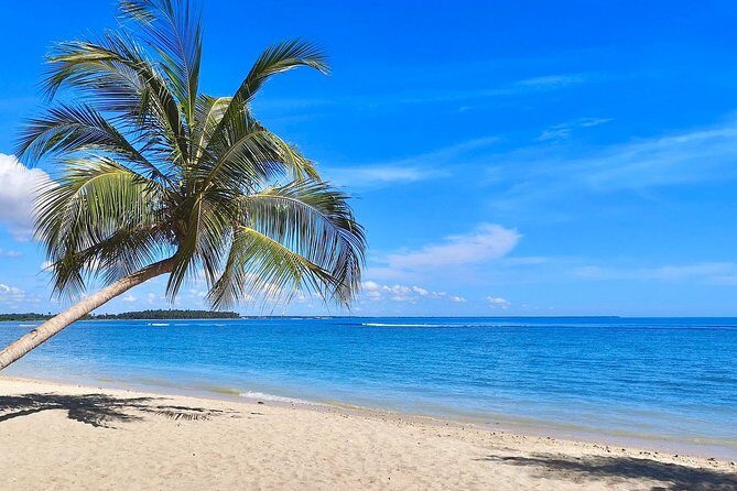3 Day Pasikudha Tour from Colombo - An In-Depth Look at the 3-Day Pasikudah Tour