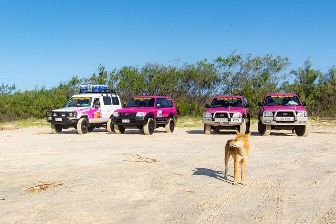 3 Day PINK4WD Tagalong Tour - K'gari/Fraser Island - What Does the Experience Feel Like?