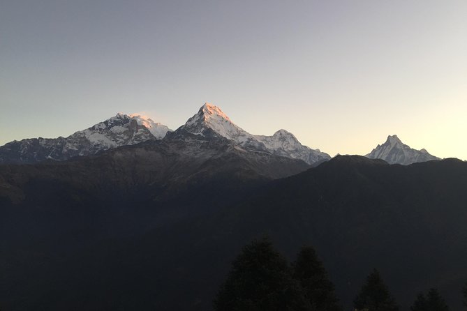 3-Day Poon Hill Trek from Pokhara. - What Reviewers Love