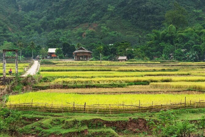 3-Day Private Authentic Tour of Mai Chau & Pu Luong from Hanoi - The Itinerary Breakdown