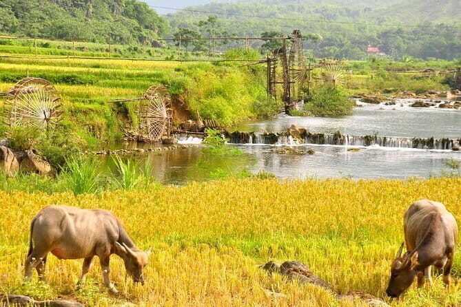 3-Day Private Authentic Tour of Mai Chau & Pu Luong from Hanoi - The Value in the Details