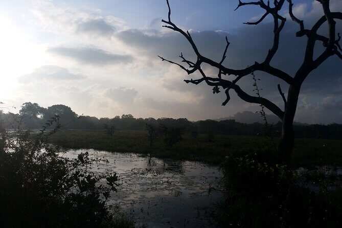 3-Day Private Guided Safari Tour in Yala National Park Sri Lanka - Key Points