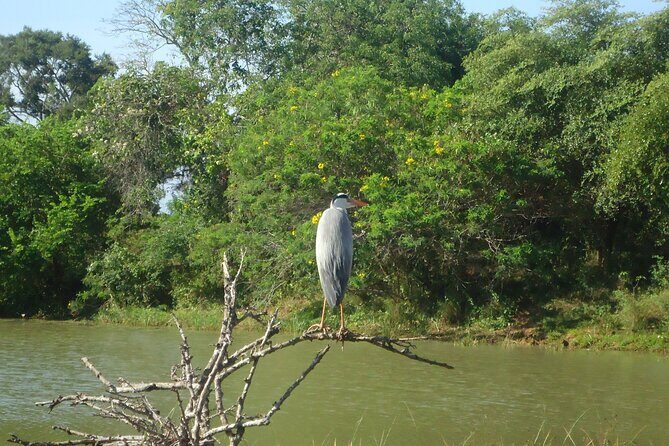 3-Day Private Guided Safari Tour in Yala National Park Sri Lanka - Practical Considerations