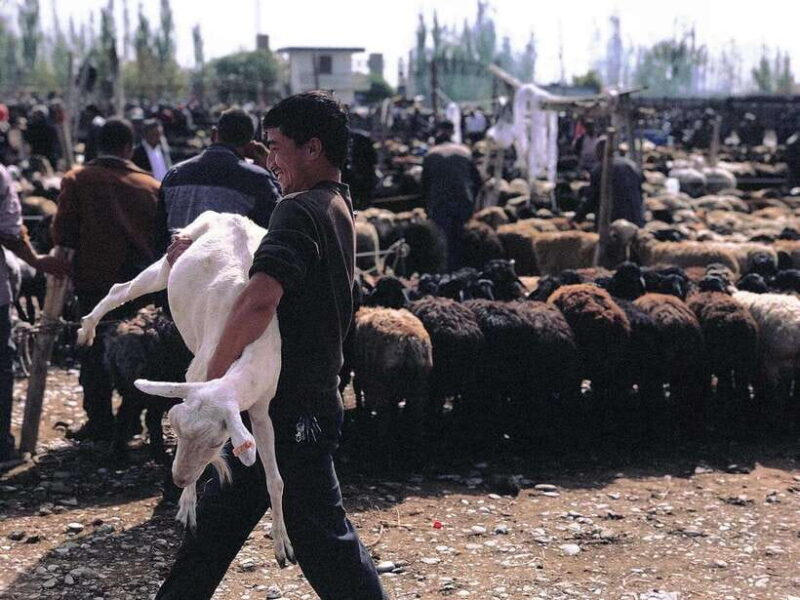 3-day private healing tour of Kashgar: cultural and natural - Natural Wonders and Scenic Highlights