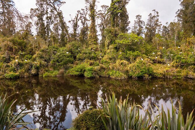 3 Day Private Photography Tour West Coast NZ Departs Queenstown - The Sum Up