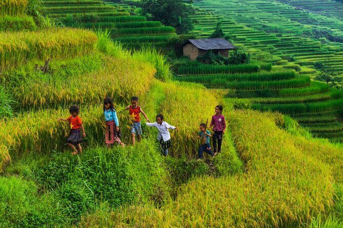3 Day Private Sapa Tour: Fansipan Mountain and Best View of Village - Authentic Experiences and What Past Travelers Say