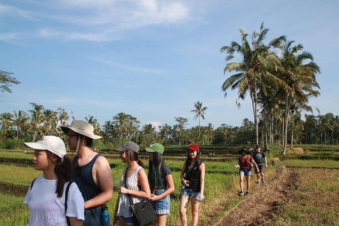 3-Day Private Sightseeing Tour of Bali with Hotel Pickup - Authentic Experiences and What You’ll Remember