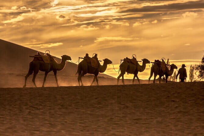 3 Day Private Silk Road Tour of Dunhuang Mogao Grottoes - Key Points