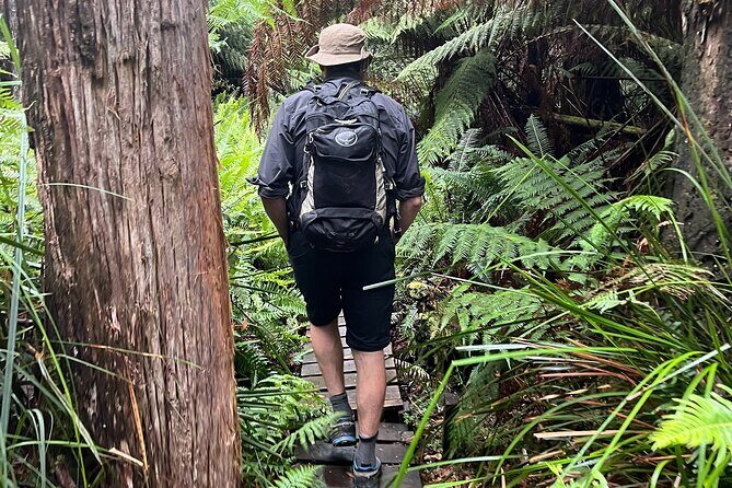 3 Day Private Tour in Tasmania - Who Will Love This Tour?