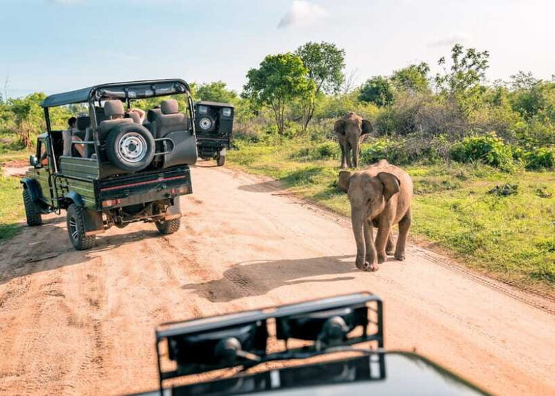 3-Day Private Tour: Sigiriya, Dambulla, Ella With Train Tour - Final Thoughts