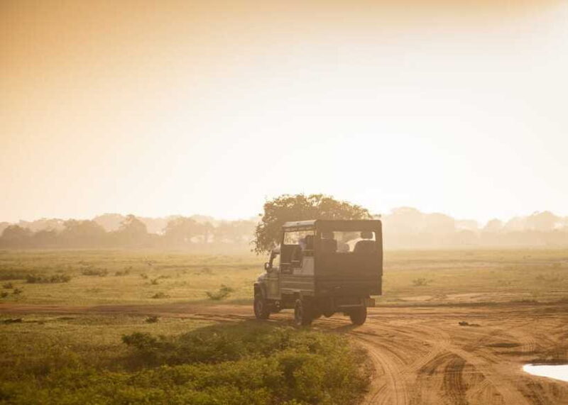 3-Day Private Tour: Sigiriya, Dambulla, Ella With Train Tour - FAQ