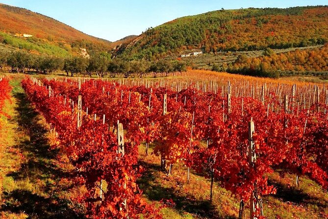 3-Day Private Tuscany Tour from Florence: Wine & Hilltop Towns - Day 3: Pisa and Lucca, a Perfect Historic Finish