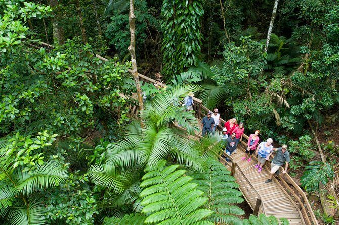3 Day Reef Cruise, 4WD Rainforest and Outback Chillagoe Package - Discover the Best of Cairns & the Tropical North with a 3-Day Reef, Rainforest, and Outback Tour