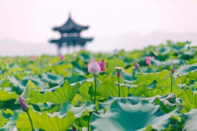 3-Day Remarkable Private Tour of Shanghai, Suzhou and Hangzhou - Day 3: The Serenity of Hangzhou