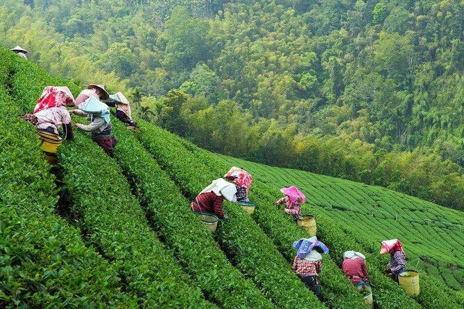 3-Day Remarkable Private Tour of Shanghai, Suzhou and Hangzhou - Final Thoughts: Is This Tour for You?