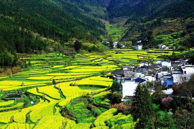 3-Day Remarkable Private Tour of Shanghai, Suzhou and Hangzhou - Final Words
