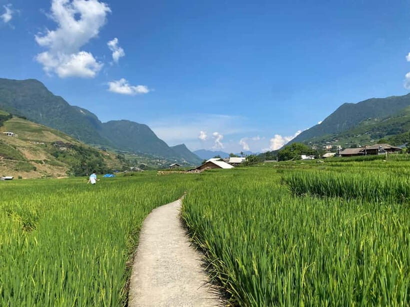 3-Day Sa Pa Trek: Villages, Rice Terraces & Bamboo Forest - An In-Depth Look at the Sa Pa 3-Day Trek