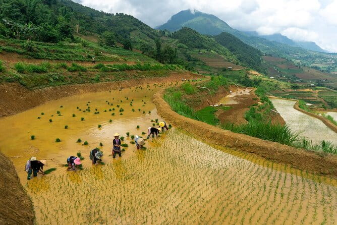 3-Day Sapa Trek, visit Fansipan (cable car) from Hanoi with local - Practical Tips for Travelers