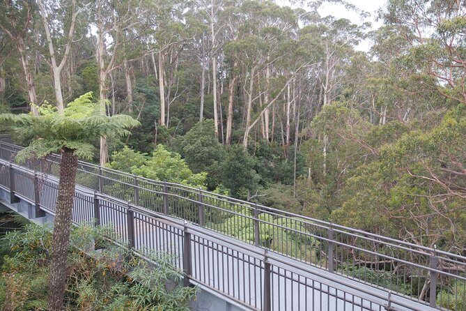 3 Day Scenic Tour of Blue Mountains from Sydney - Day 3: Scenic Heights and Historic Railways