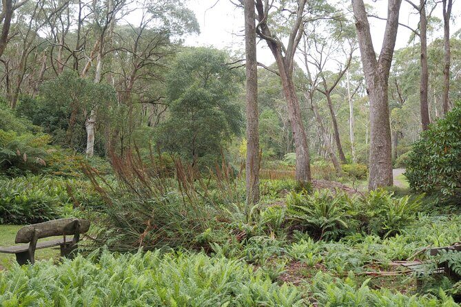 3 Day Scenic Tour of Blue Mountains from Sydney - Authentic Experiences and Authentic Guides