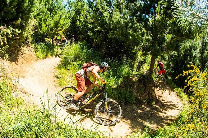 3 Day Shuttle MTB Weekend Adventure in Nelson - Day 1: Cable Bay Adventure Park