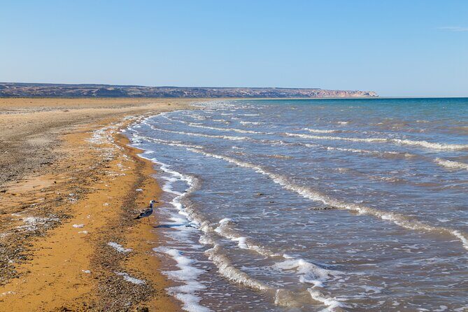 3-Day Small Group Jeep Adventure Tour to Aral Sea & Usturt Plateau in Nukus - Day 2: Exploring the Usturt Plateau and Soviet Ruins