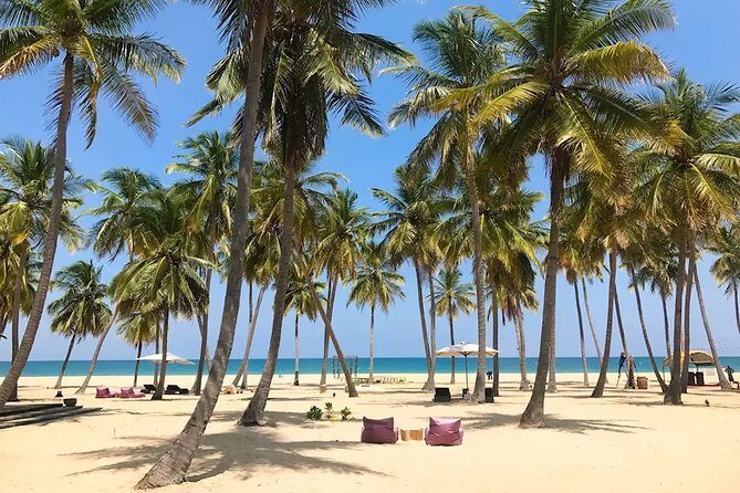 3 Day Sri Lanka Cultural tour and East Coastal tour - Introduction