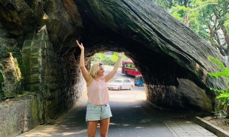 3-Day Sri Lanka Tour: Kandy Nuwara Eliya Ella & Yala Safari - Key Points