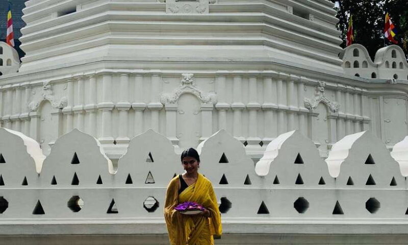 3-Day Sri Lanka Tour: Kandy Nuwara Eliya Ella & Yala Safari - Transport, Accommodation, and Overall Value