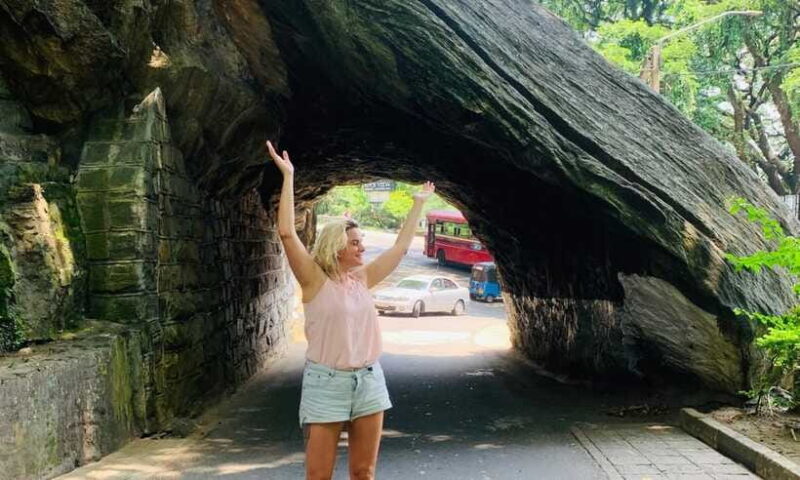 3-Day Sri Lanka Tour: Kandy Nuwara Eliya Ella & Yala Safari - FAQ